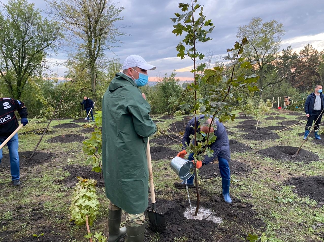 Între PR și fapte bune: politicienii plantează copaci, ecologiștii spun ...