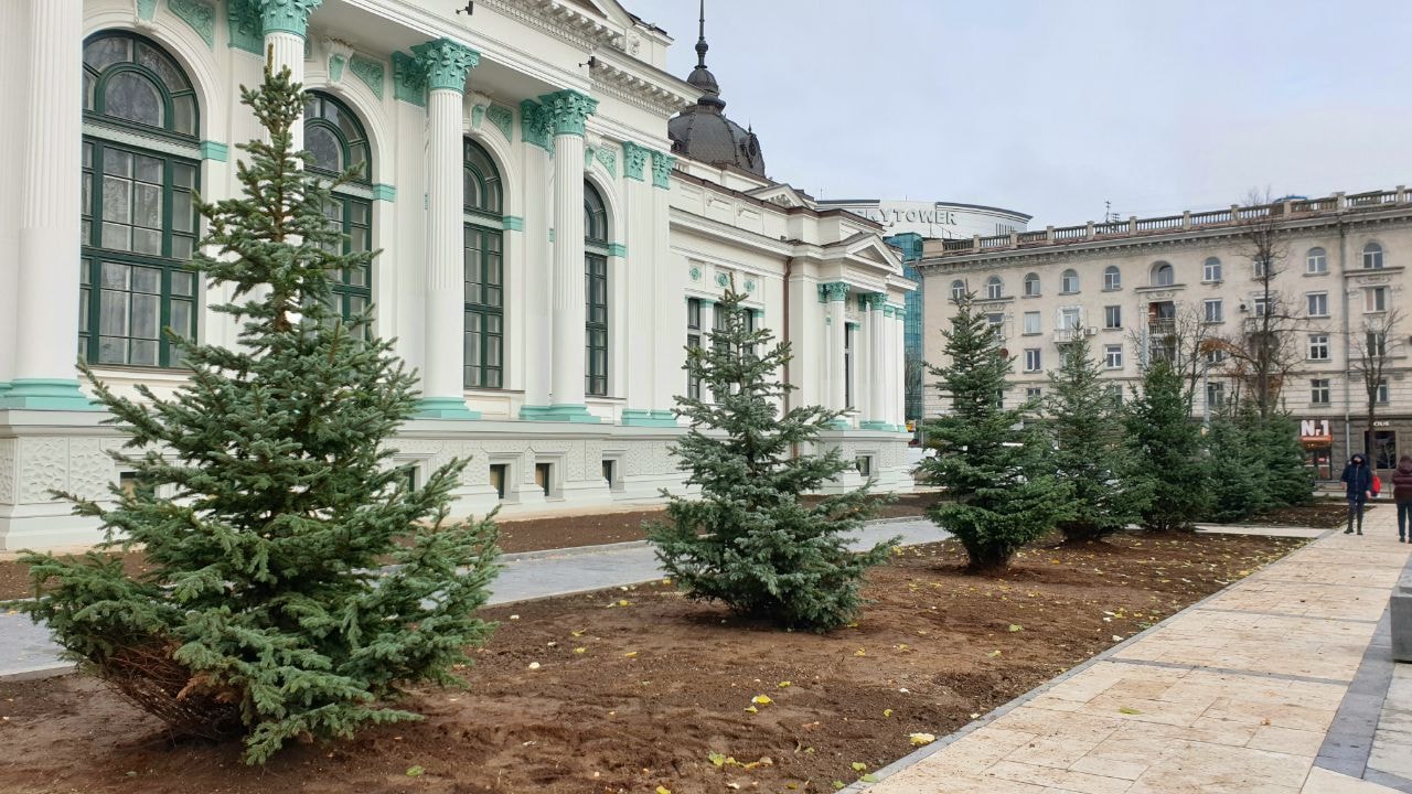 FOTO/Brazi naturali în Chișinău – imaginile îți taie respirația